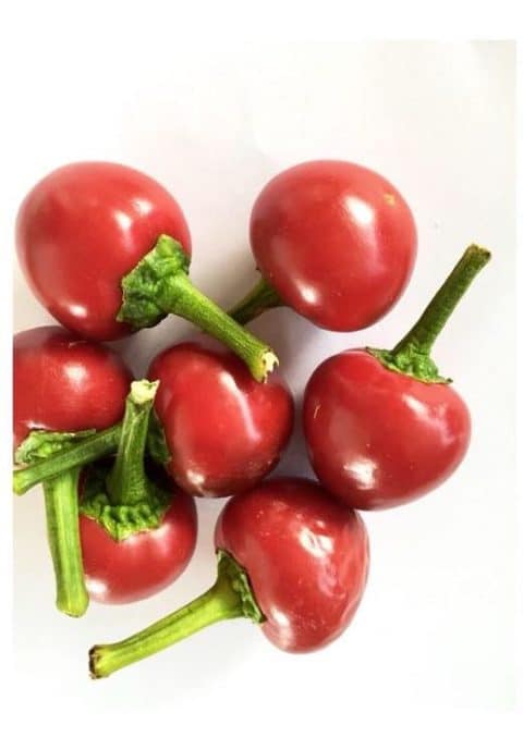 peperoncin di calabria - Delizie di Calabria